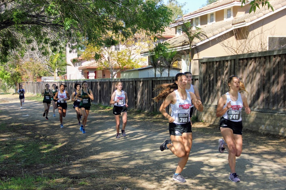 Dragons finally spread their wings: Cross country leads the ...